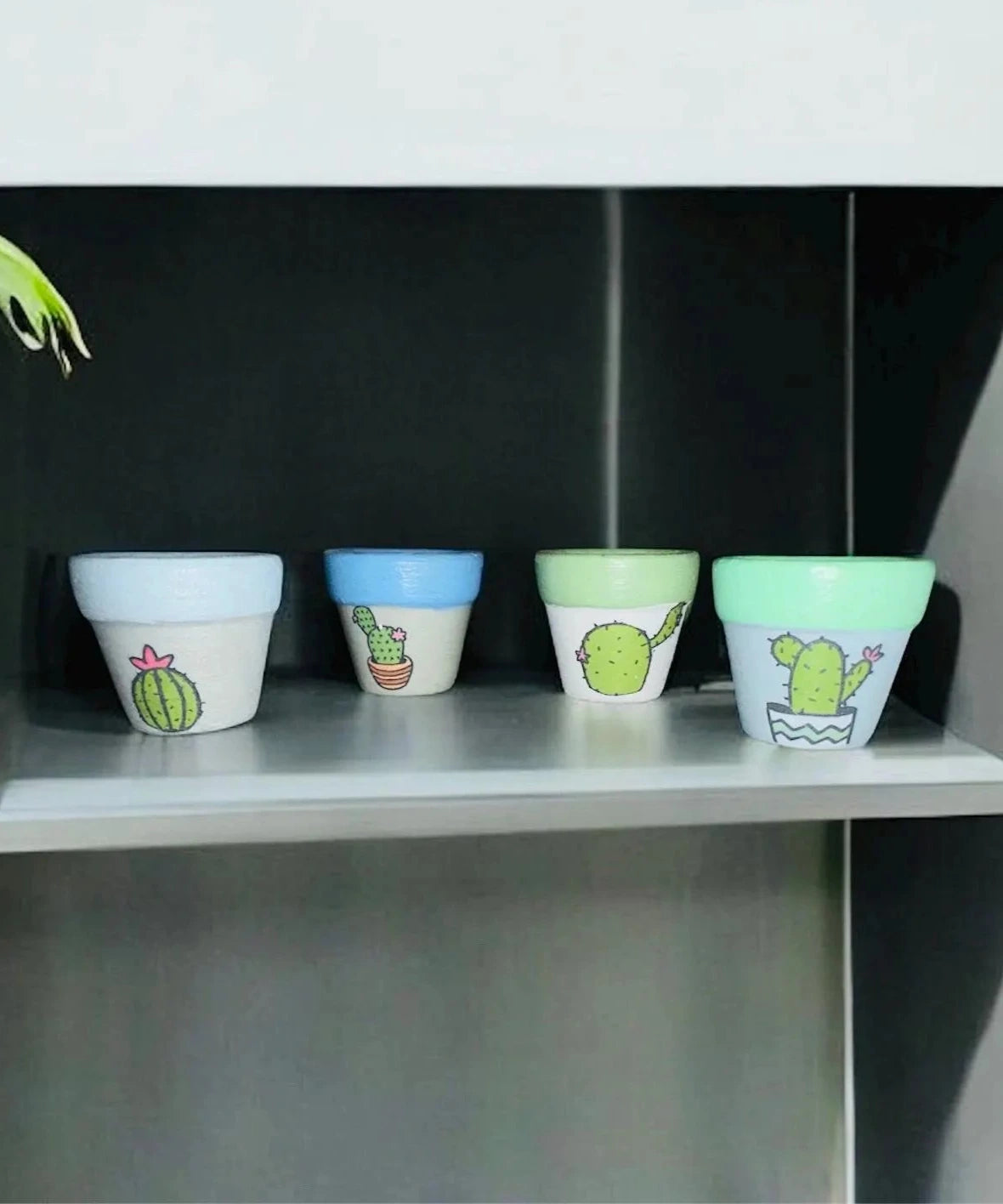 Miniature Cactus - DIY Cactus Kits, Live Plant,Micro(hand painted with ...